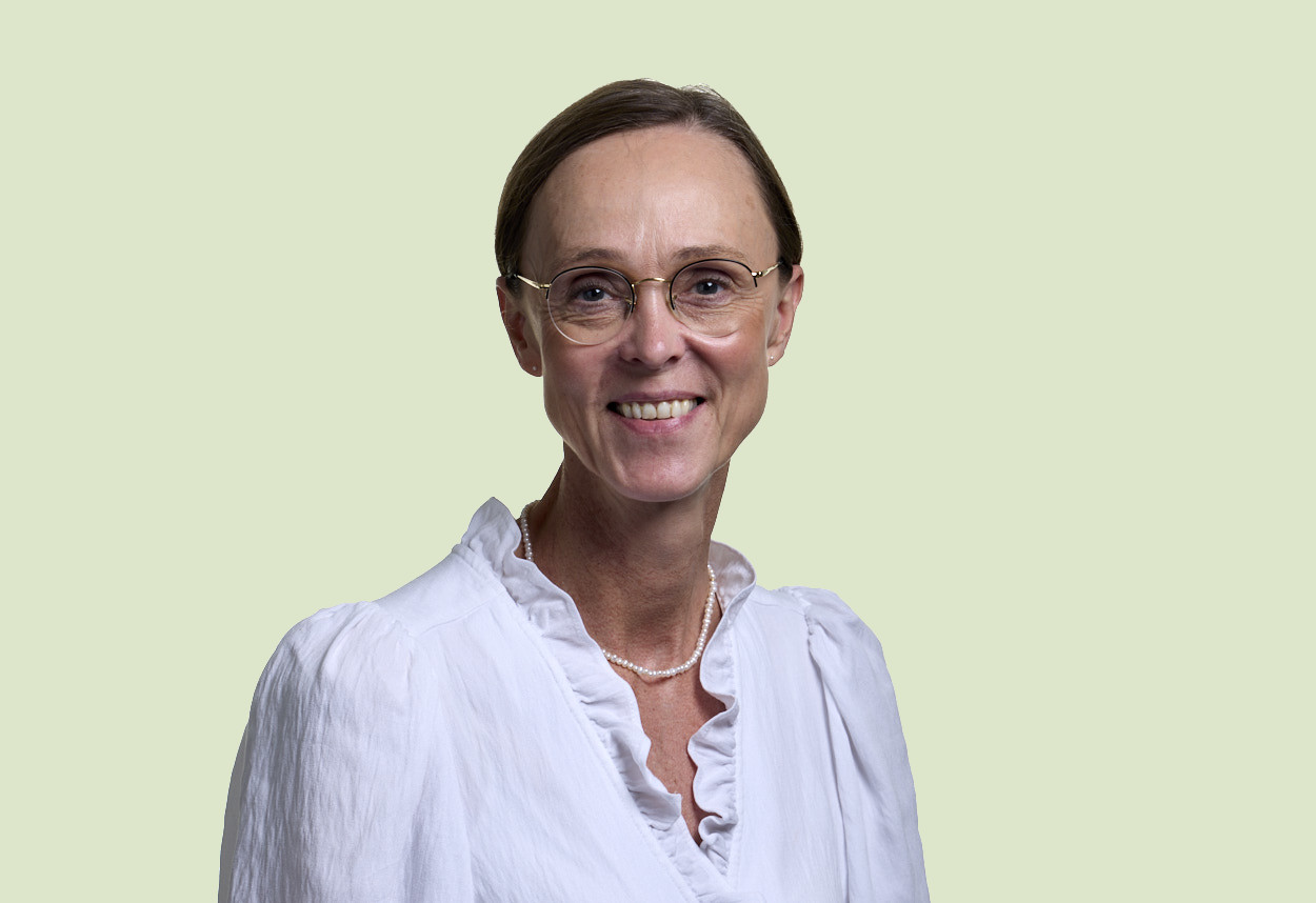 Ny SDU-dekan: Reform behøver ikke give dårligere uddannelser | Djøfbladet